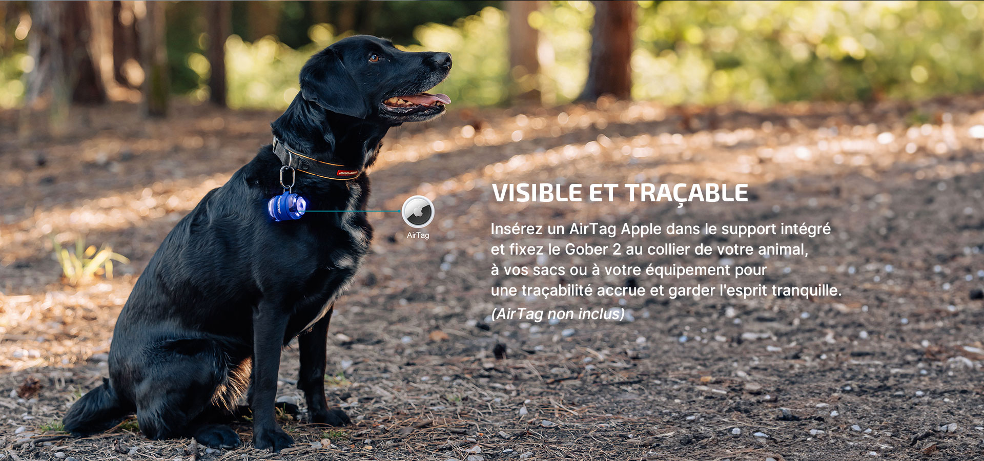 Gober 2 Lampe LED Multifonction Synchronisation Sans Fil Clip ...